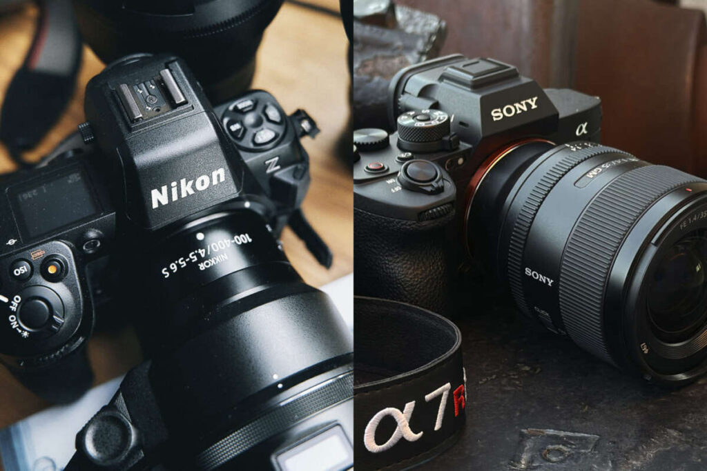 Canon R7 Vs R8: Which Camera Should You Buy? - My Tech Grid